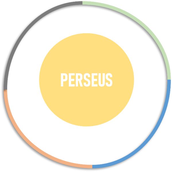 PERSEUS – Research Studios Austria FG